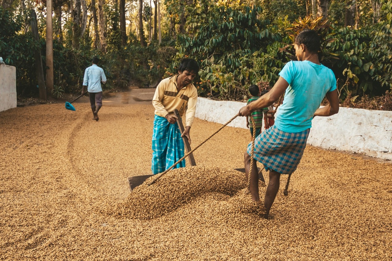 Your Complete Guide to Visiting Coorg: When, Why, and Where to Stay ...